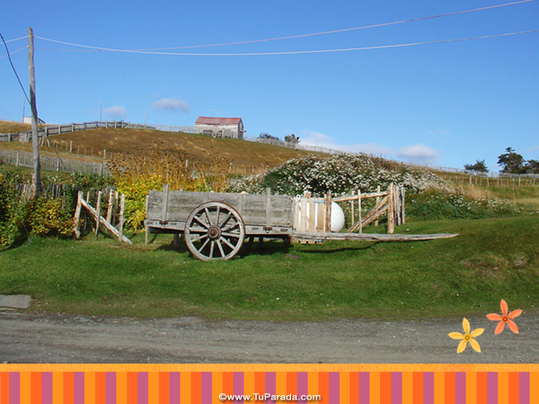 Foto de granja, fotos para redes sociales, fondos, fotos, imágenes para ...