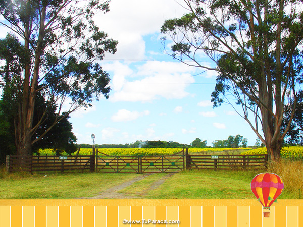 Foto de campo, foto campestre, fondos, fotos, imágenes para compartir ...